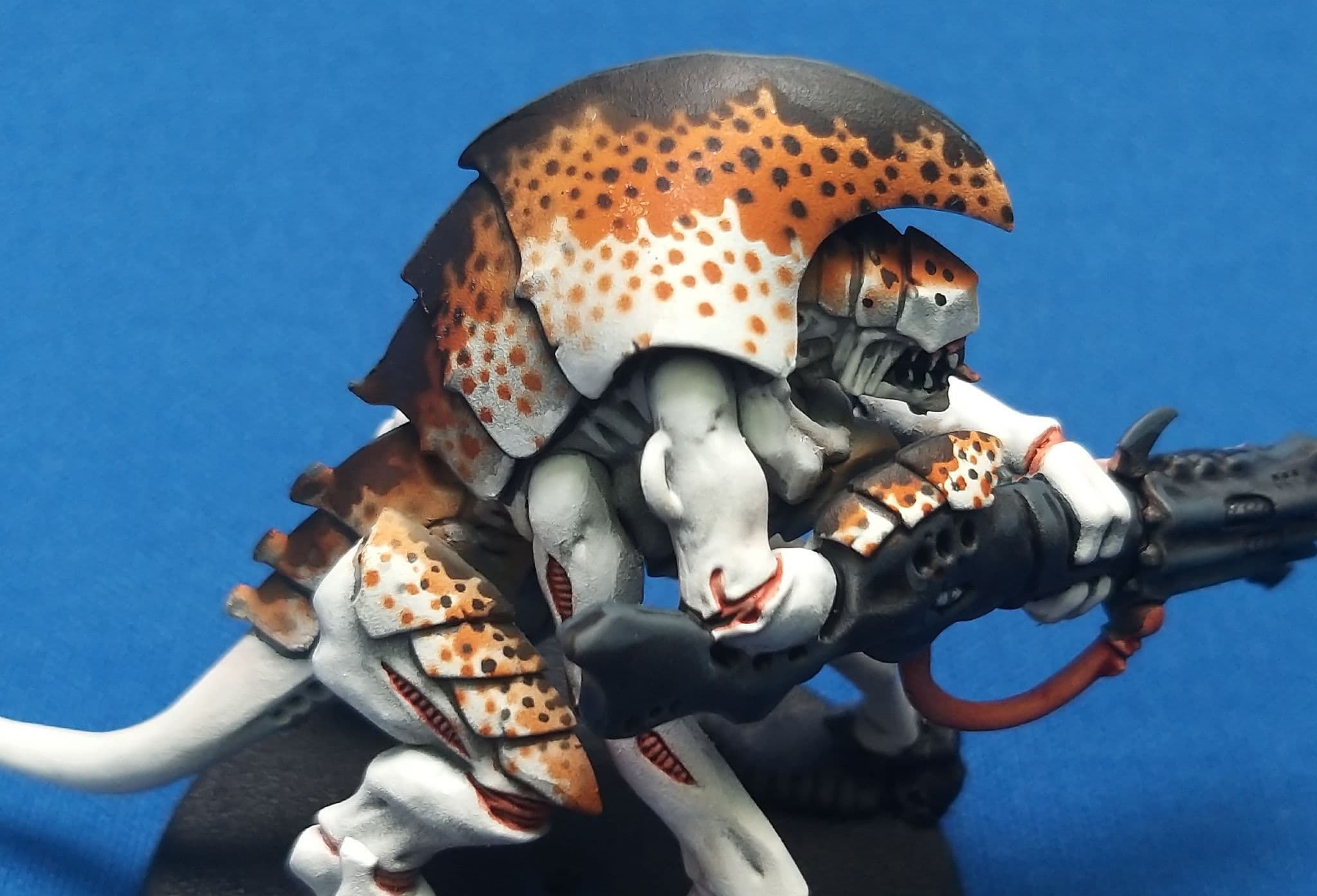 HS66 - Karkinos - Edge-Monster 1